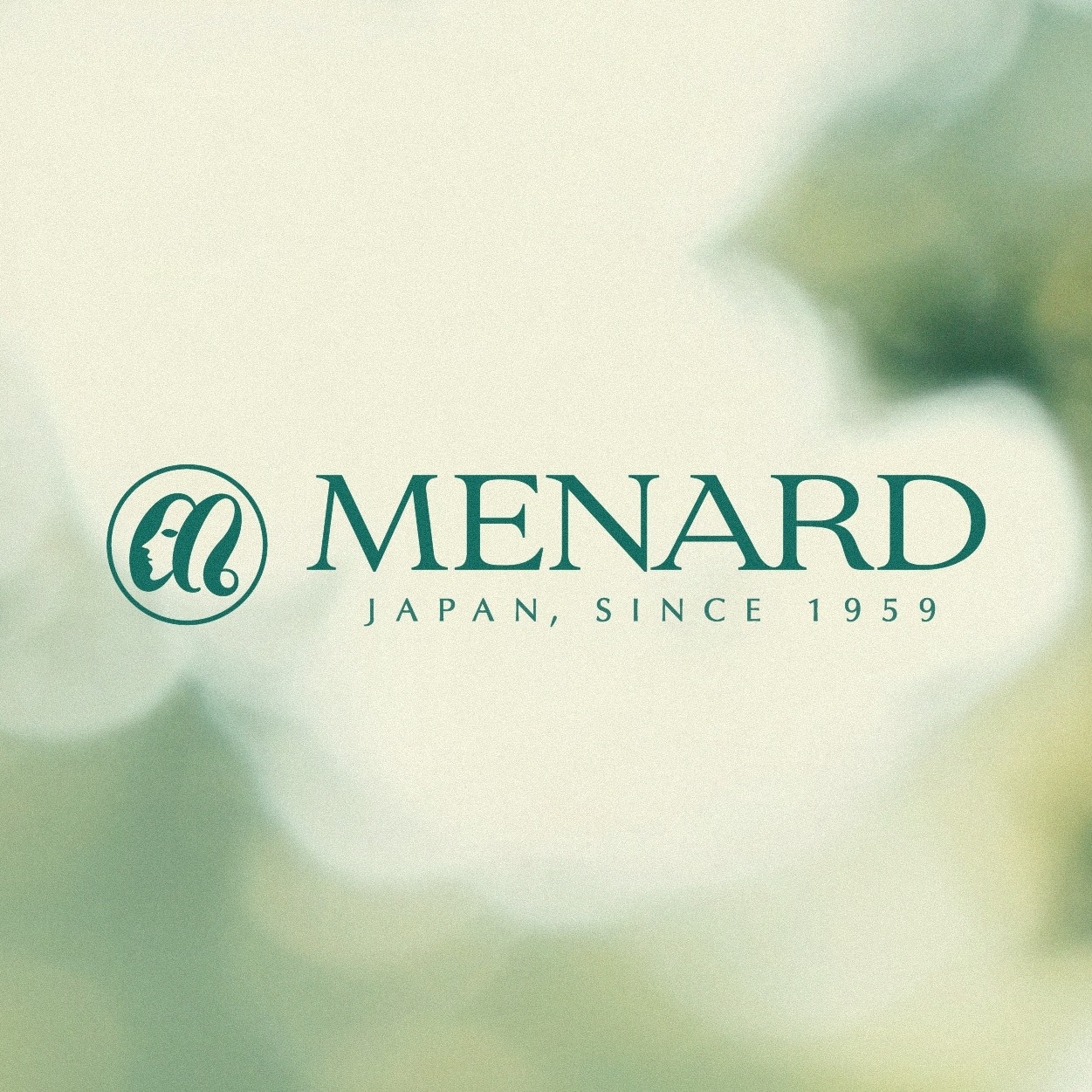 VMT: Tất cả các khoá học